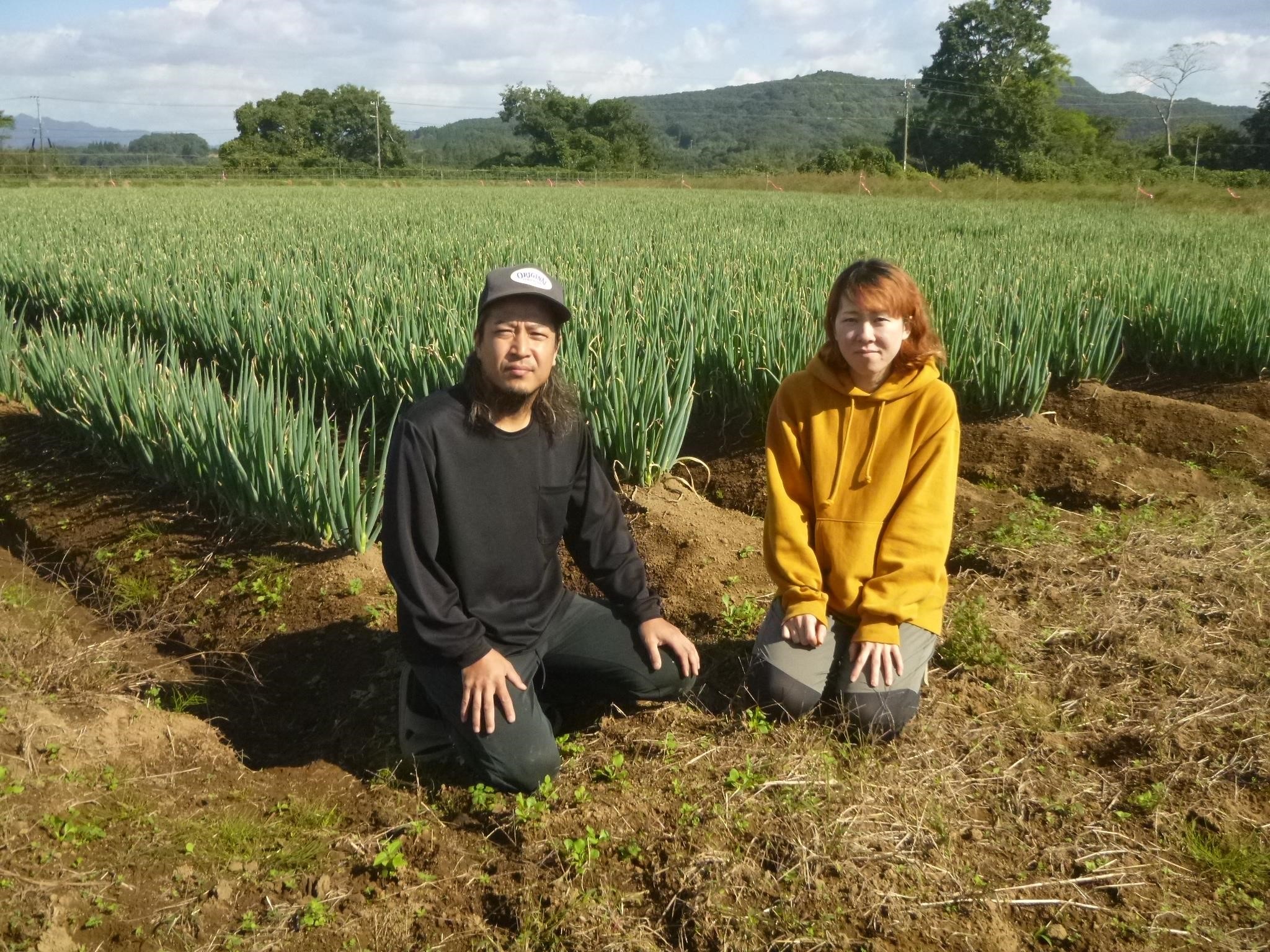 白ねぎ畑に行ってきました！ – 大分の野菜畑 豊後大野 ぶんごおおの